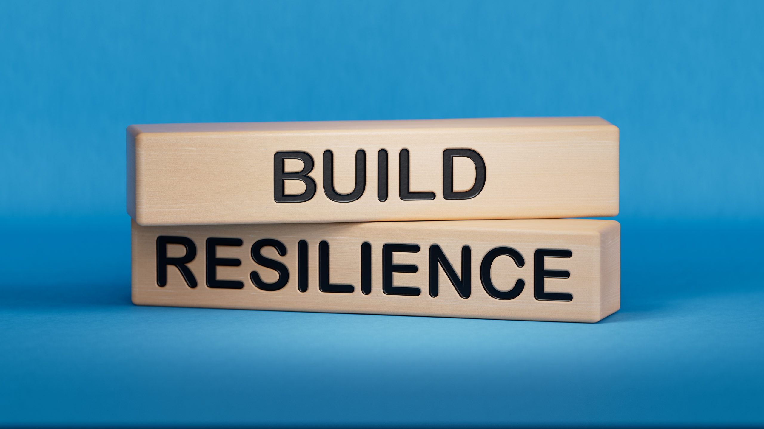 From Surviving to Thriving: The Essential Guide to Business Resilience ...